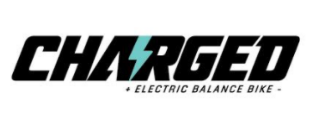 Battery Charged X3 Electric Scooter– Rider 18